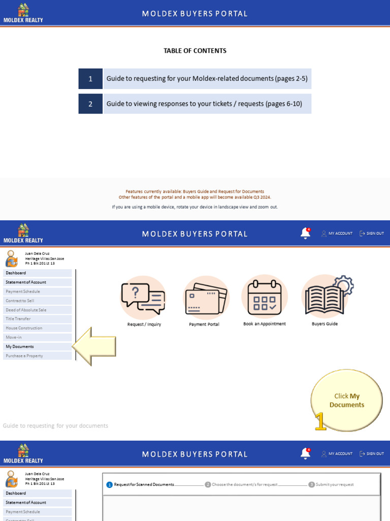 Request For Docs & View Response Guidelines Moldex | PDF