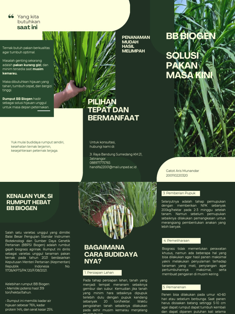 Leaflet Biograss | PDF