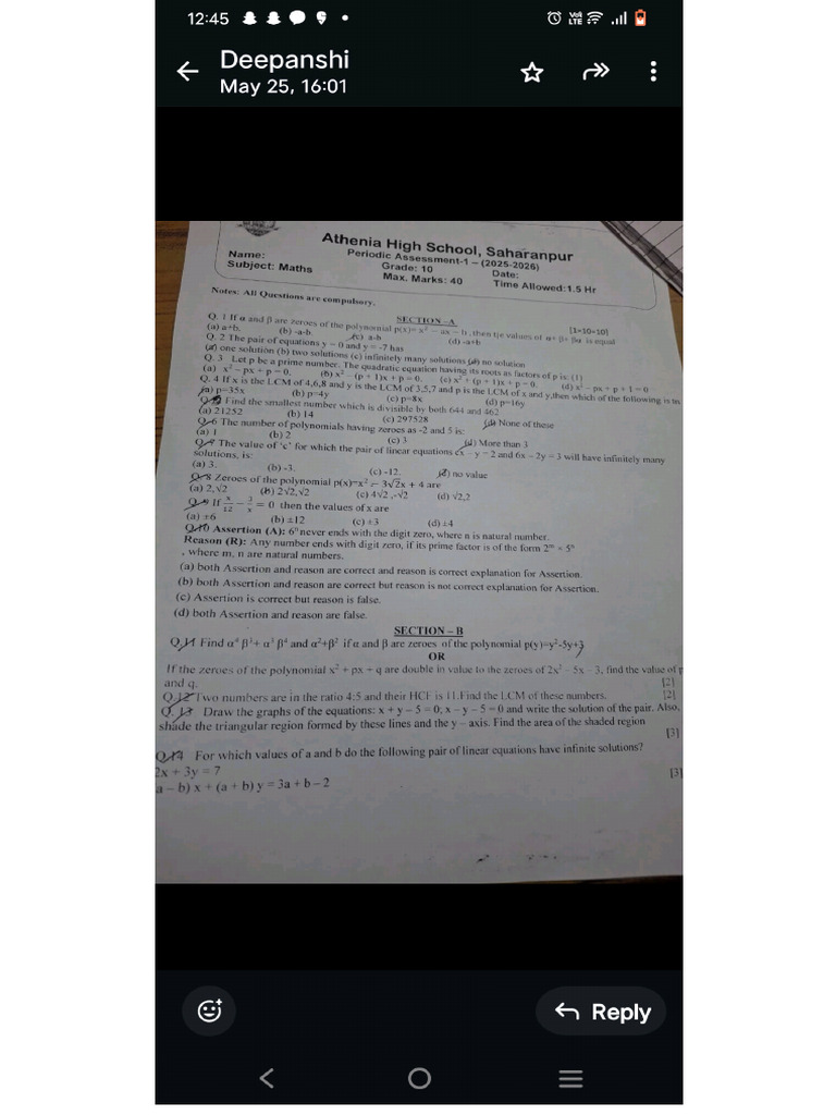 Maths Class 10 Worksheet | PDF