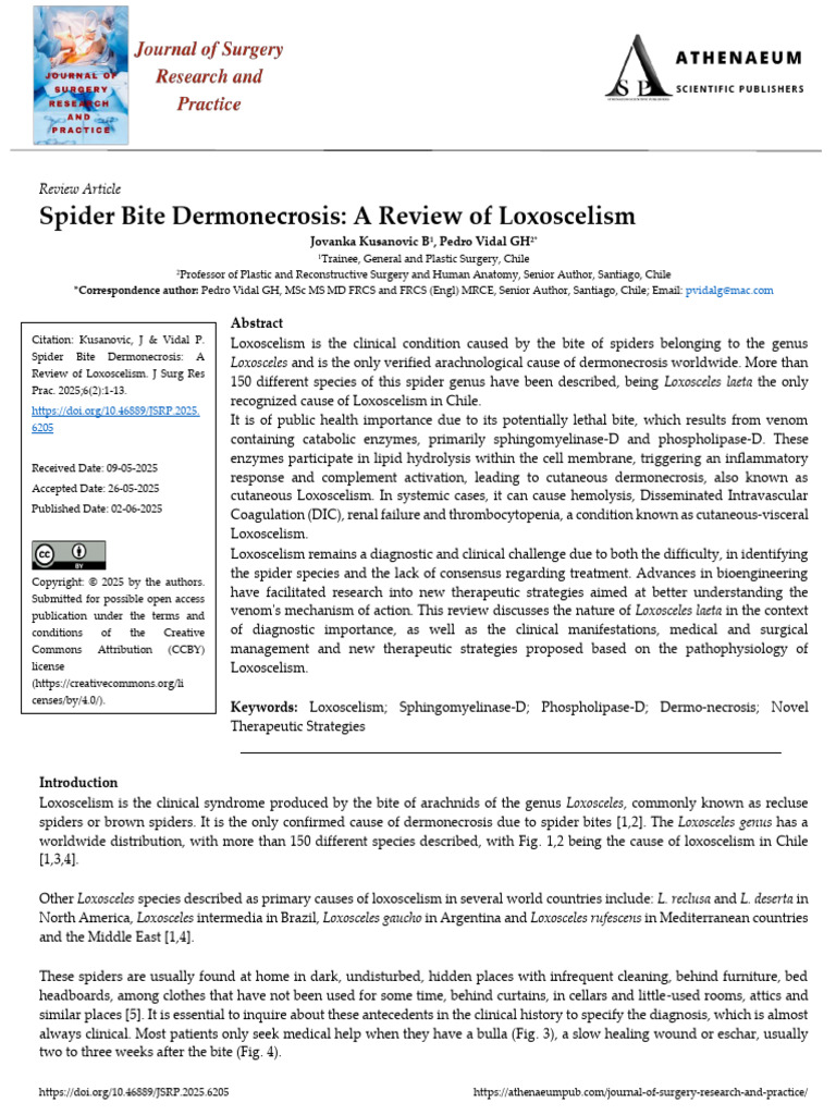 Spider Bite Dermonecrosis A Review of Loxoscelism | PDF | Inflammation ...