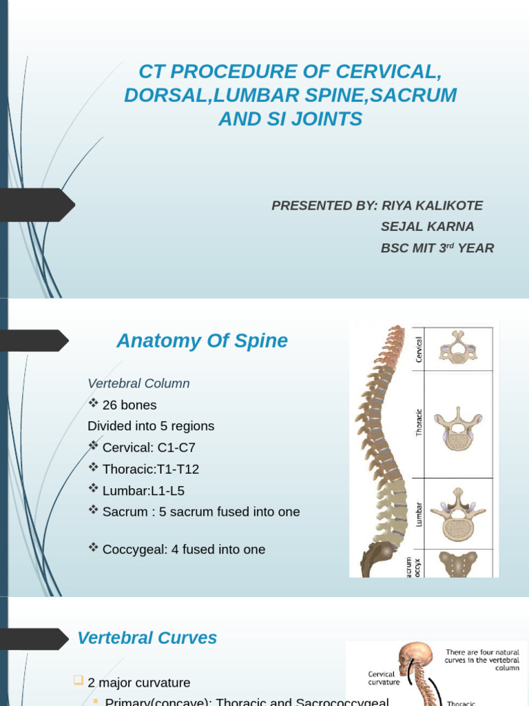 CT Spine Procedure Overview and Techniques | PDF | Vertebra | Vertebral ...