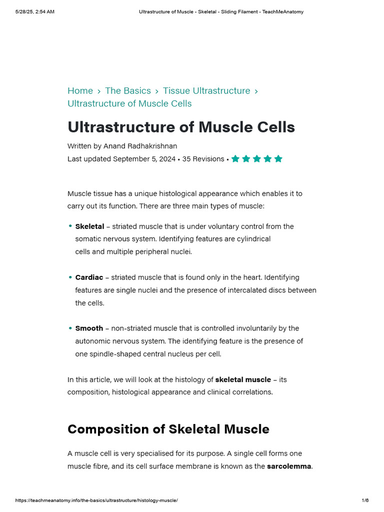 Ultrastructure of Muscle - Skeletal - Sliding Filament - TeachMeAnatomy ...