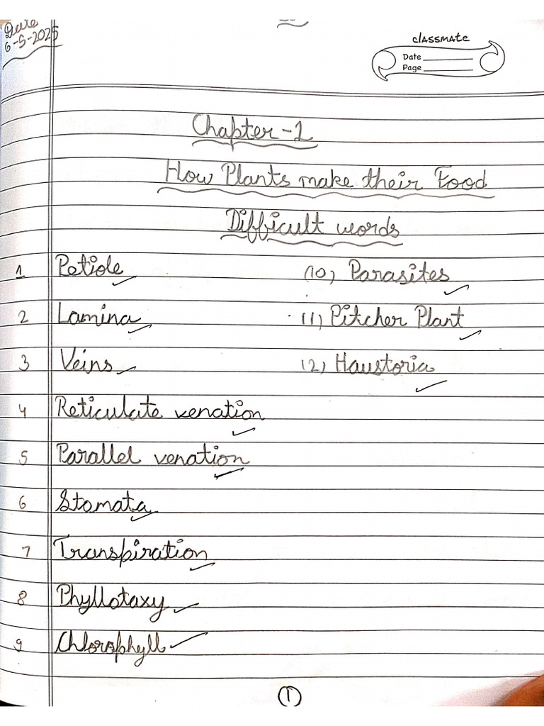 Class-4 Science Chapter-1 PDF | PDF