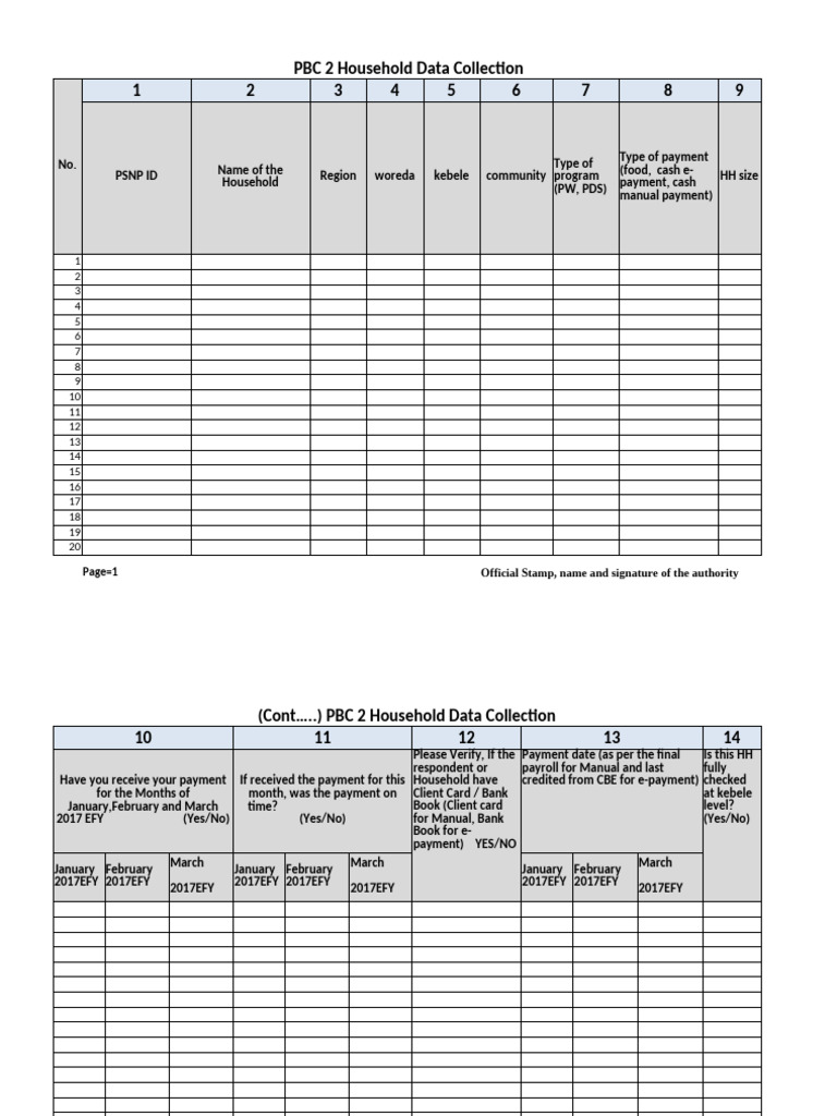 IVA - HH - Data - Collection - Format - For - Q3 - or - January - To - March1 2025 | PDF ...