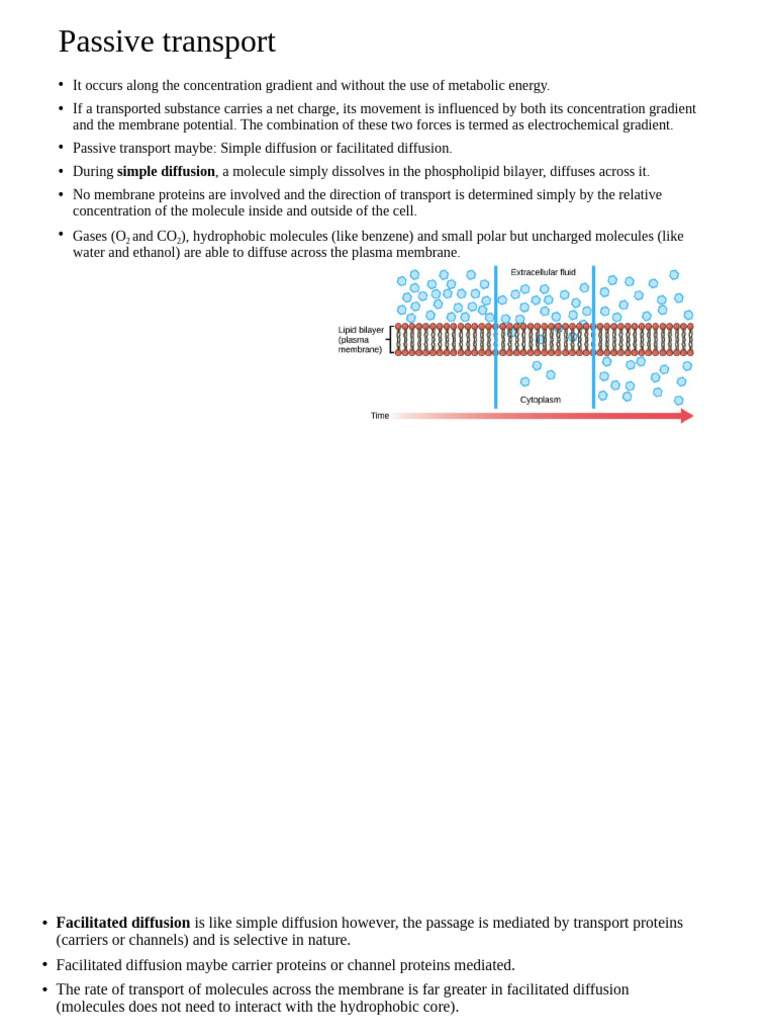 Understanding Passive and Active Transport | PDF | Cell Membrane ...