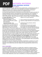 Incisión de Pfannenstiel: Técnica y Aplicaciones | PDF | Pelvis | Vagina