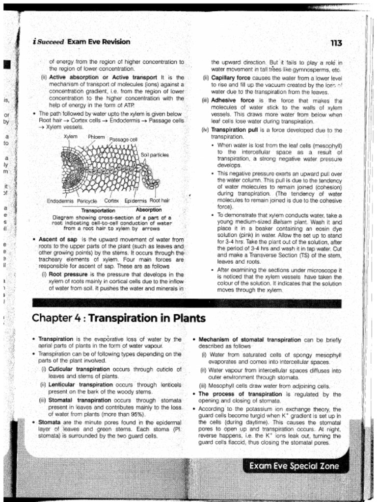 Biology Definition | PDF