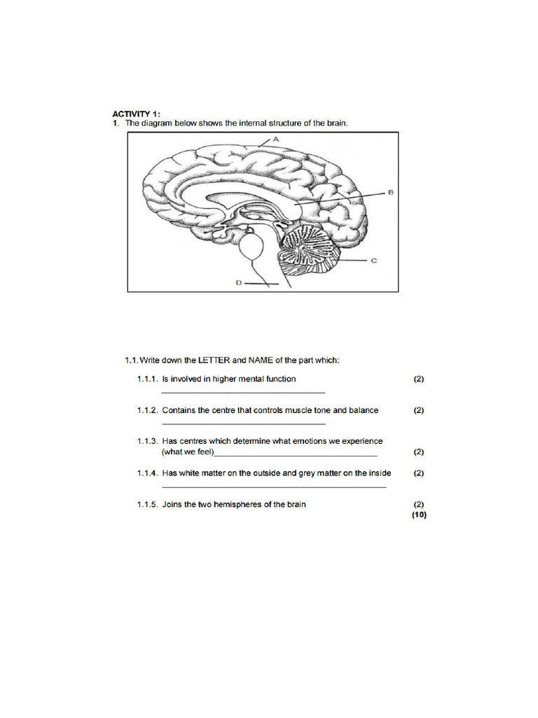Classwork Grade 12 | PDF