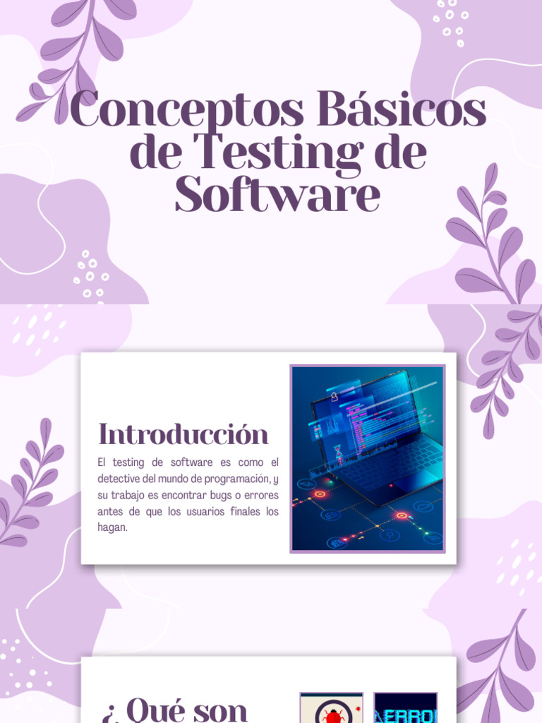 Conceptos Basicos de Testing de Software | PDF