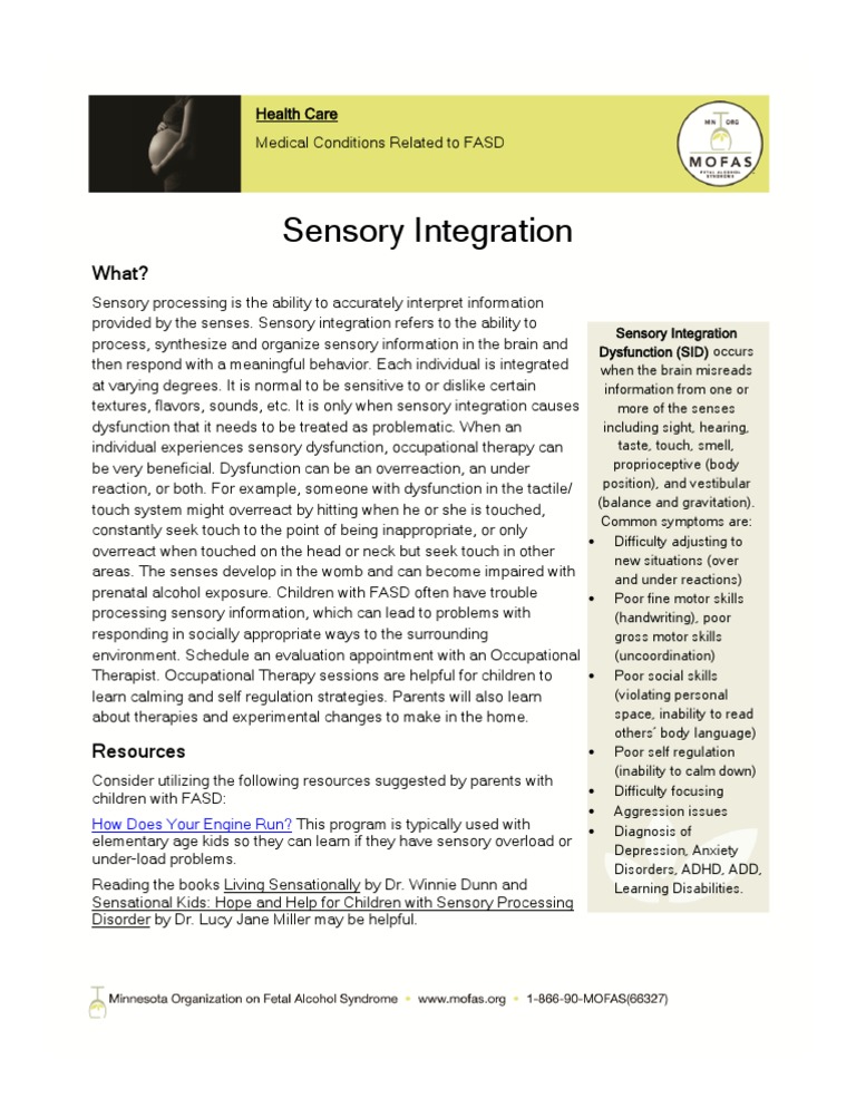 Sensory Integration.pdf | Senses | Mental Disorder