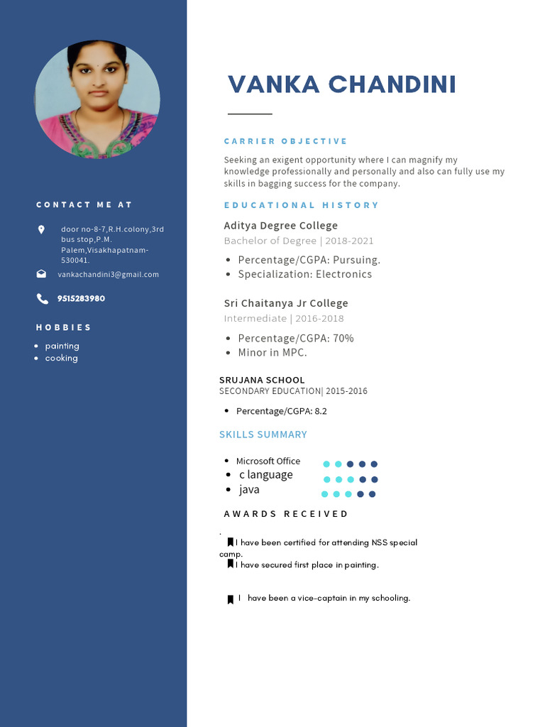 Navy Blue and Black Professional Resume | PDF