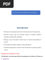 Life Cycle of Laccifer Lacca Insect | PDF | Insects | Anatomical Terms ...