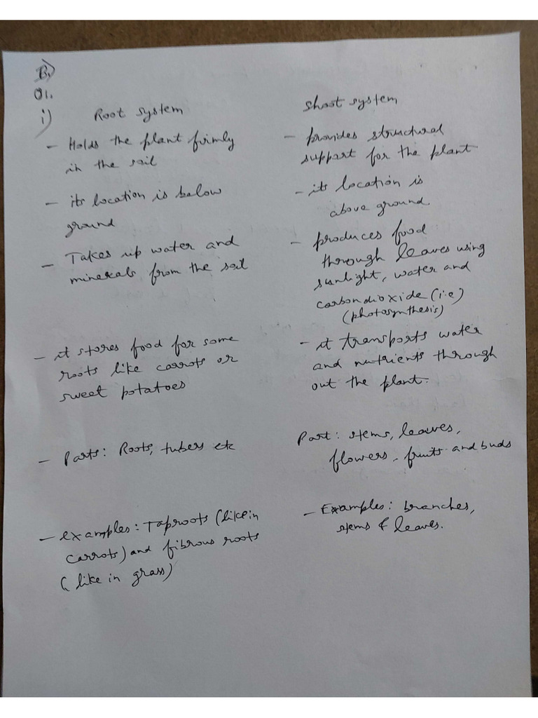 Class 6 Bio Homework | PDF