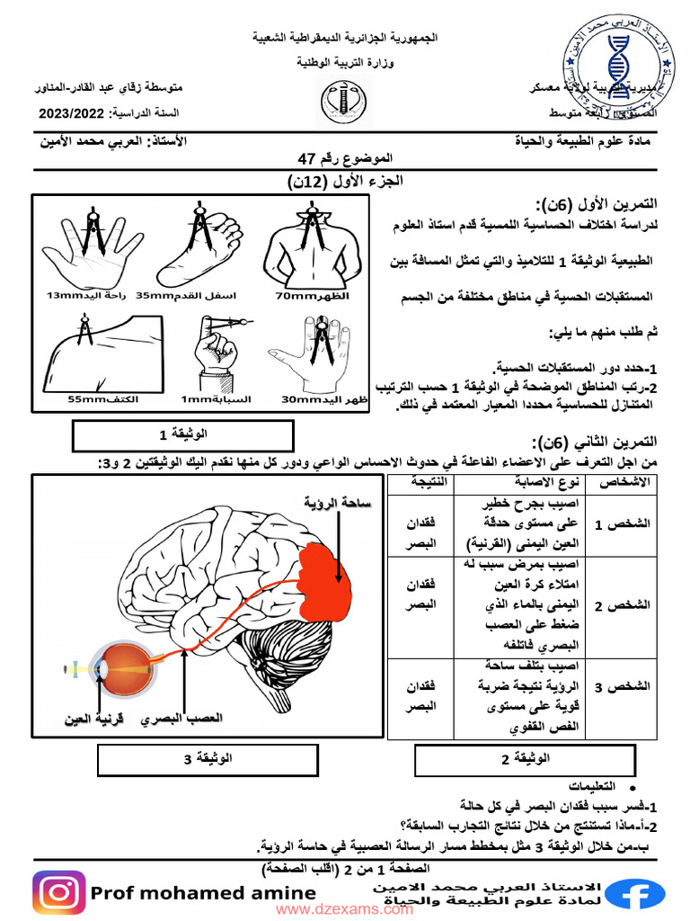 Dzexams 4am Sciences 1200809 | PDF