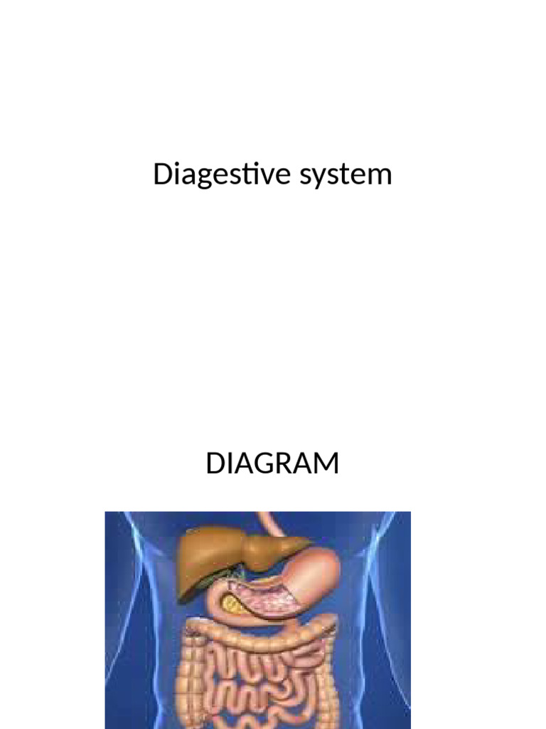 Diagestive System | PDF