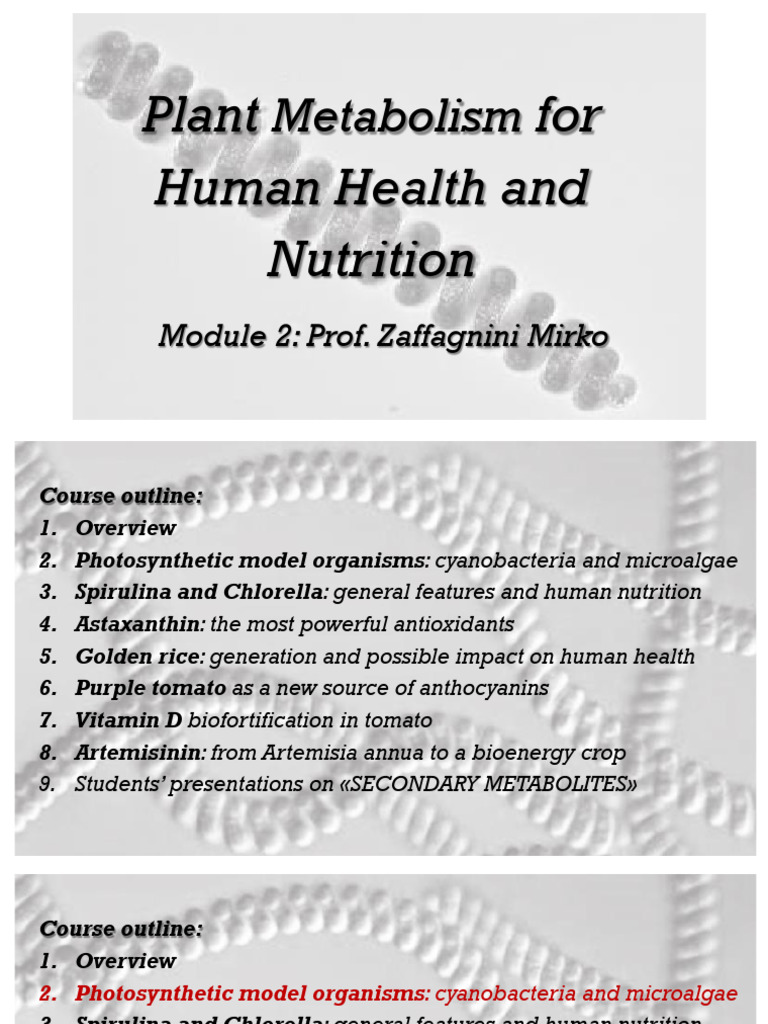 PMH2N - 2025 - Module 2 - Photosynthetic Model Organisms 2 | PDF ...