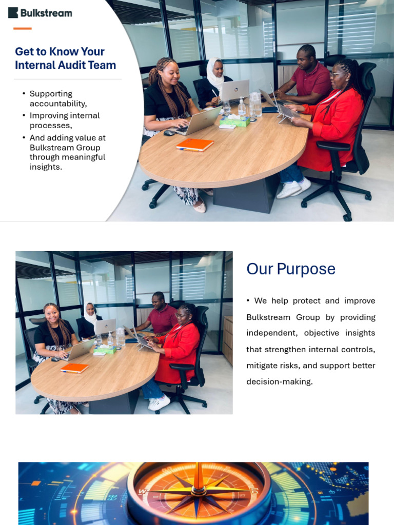 Introduction To The Internal Audit Function | PDF | Audit | Internal Audit