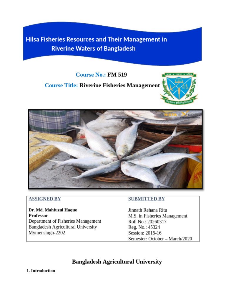 A Hilsa Fisheries Ritu | PDF | Fishery | Marine Biology
