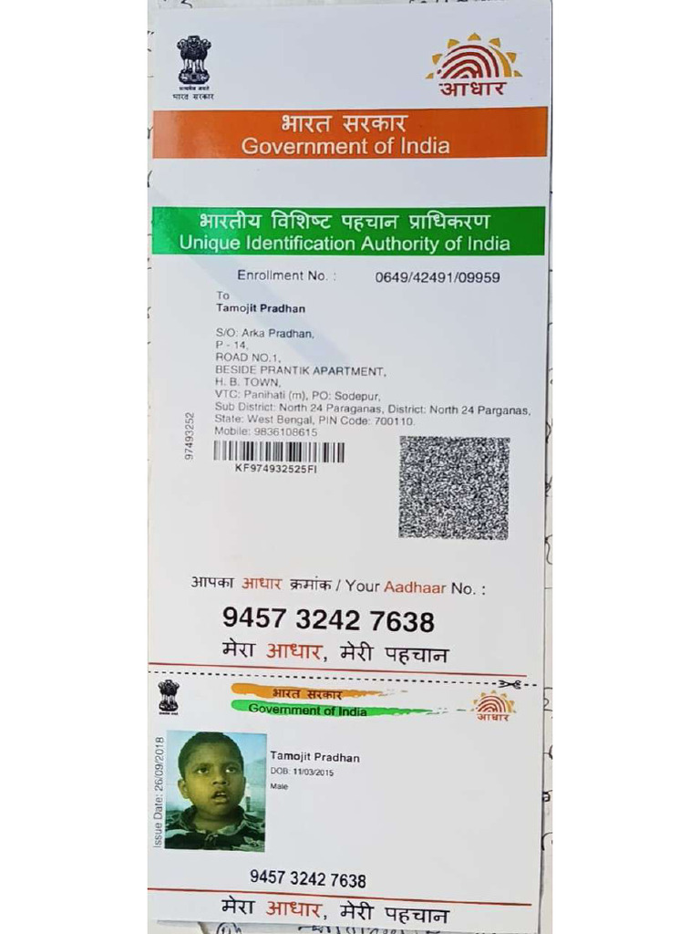 Aadhaar Card Tamojit Pradhan | PDF