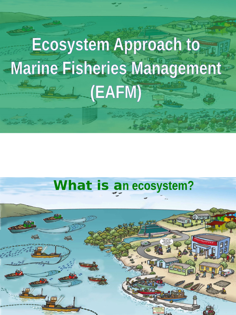 Ecosystem Approach to Fisheries Management | PDF | Sustainability ...