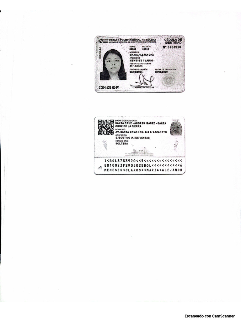 ci Alejandra Meneses | PDF