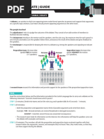 (WSC) Team Debate Guide | PDF | Immigration | English Language