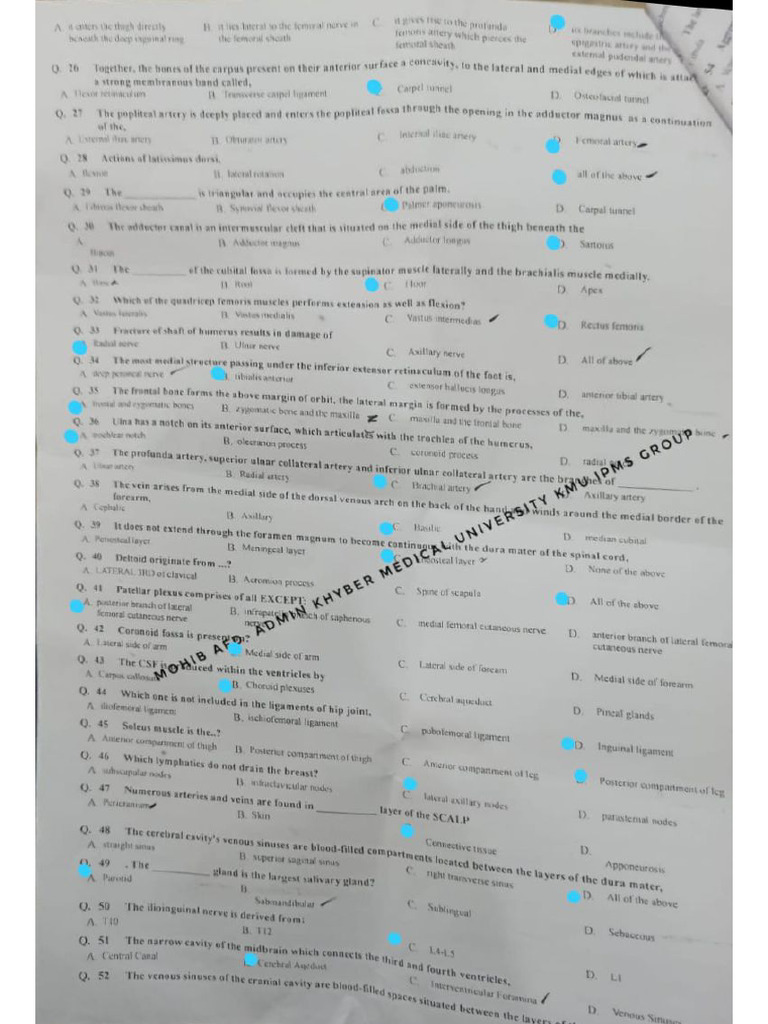 Anatomy 2021 4th Semester Radiology ?? | PDF