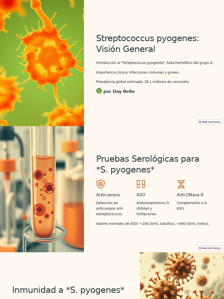 Streptococcus Pyogenes Vision General | PDF