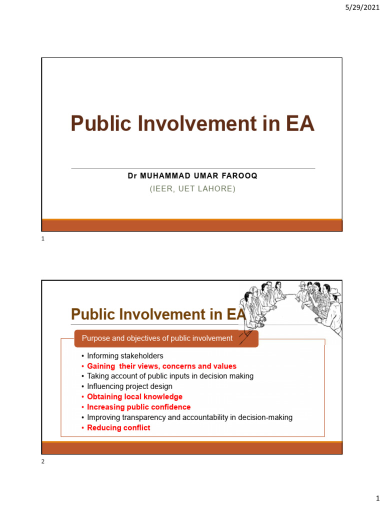 SEA - Public Involvement & Analysis of Alternatives | PDF | Environmental Impact Assessment ...