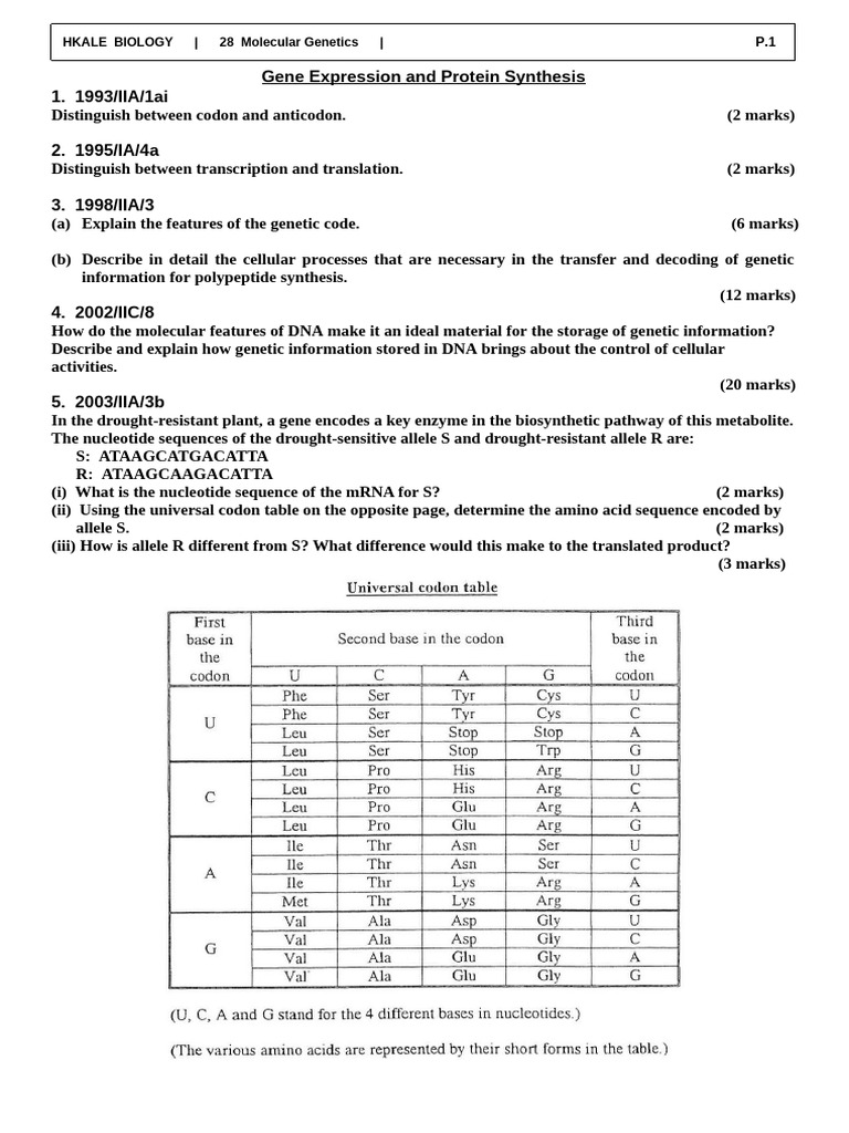 Chapter28 Molecular Genetics | PDF | Genetic Code | Translation (Biology)