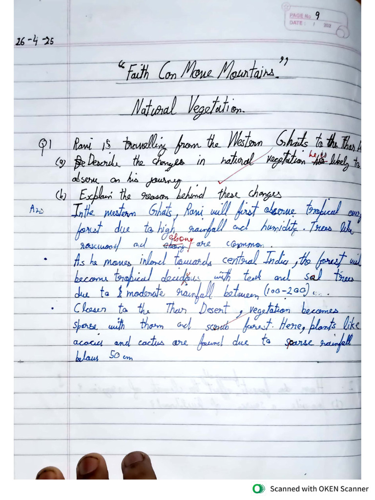 Hamza Computer | PDF