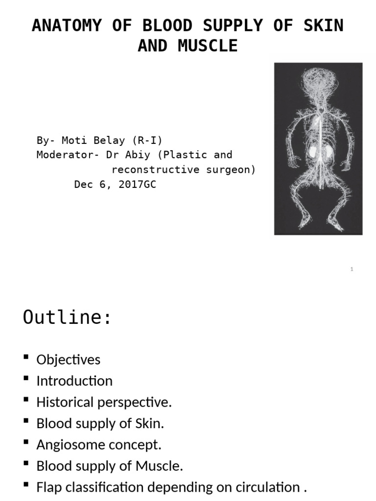 3.anatomy of Blood Supply To Skin 2 | PDF | Integumentary System | Vein
