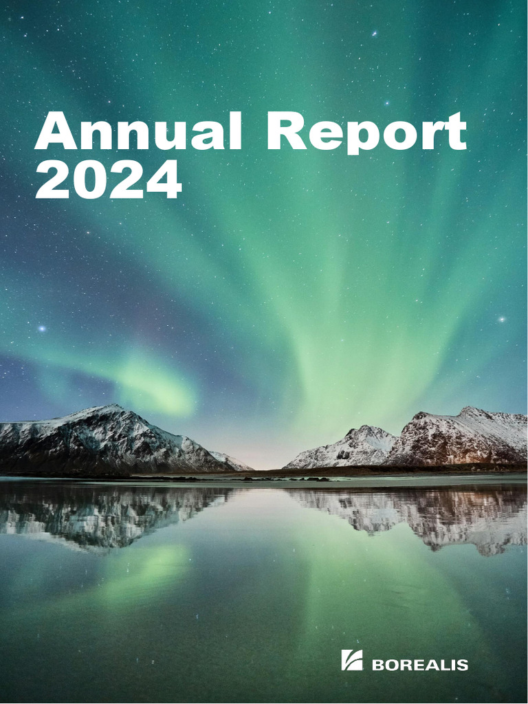 Borealis Group Annual Report 2024 | PDF | Cost Of Living | Climate ...
