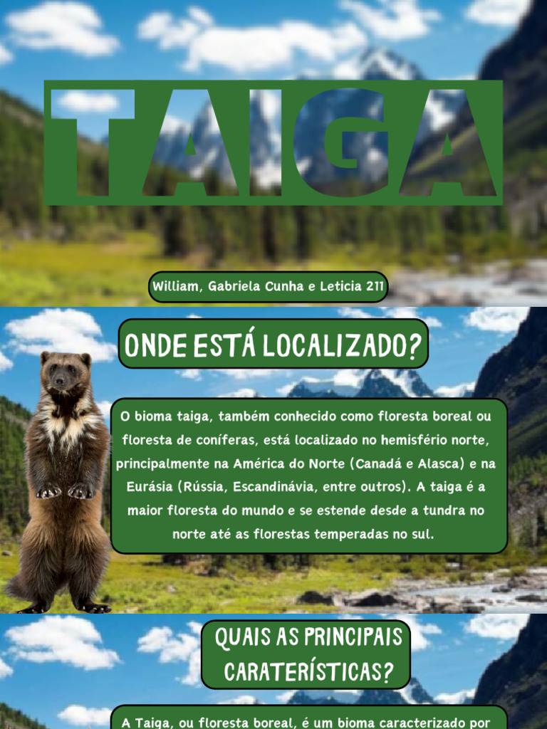 Taiga: Características e Desafios Ambientais | PDF