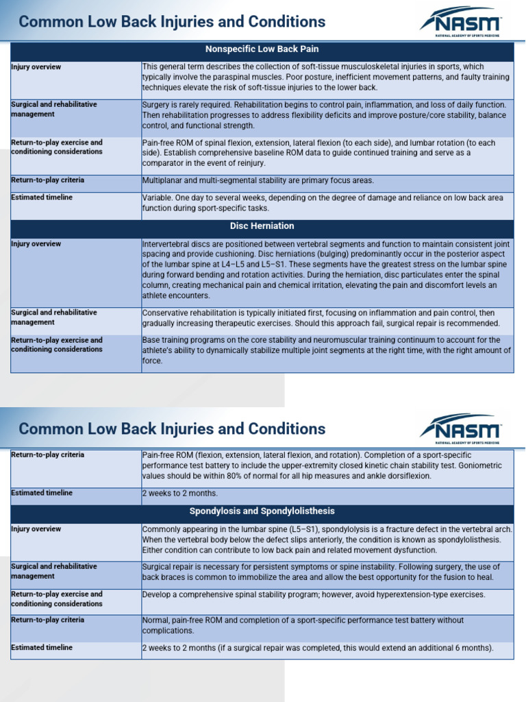 NASM PES Handout Common Low Back Injuries and Conditions | PDF ...