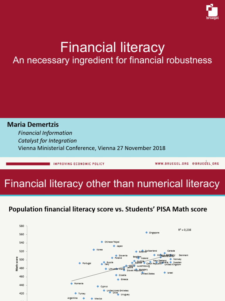 Financial Literacy Report | PDF | Financial Literacy | Literacy