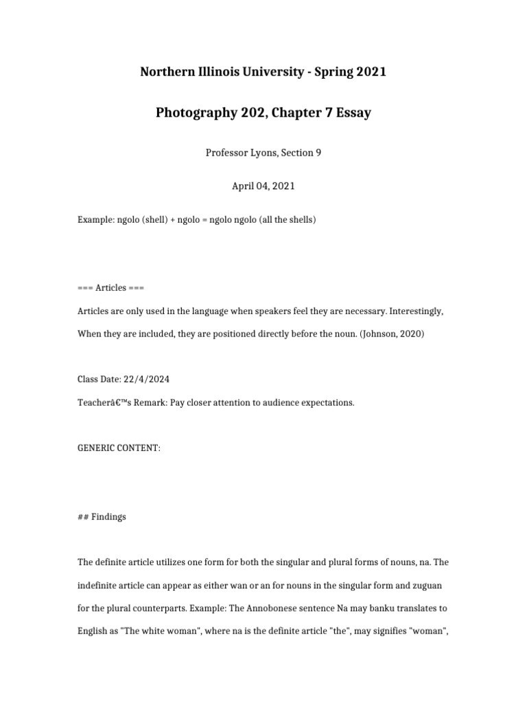 Photography 202 Chapter 7 Essay | PDF