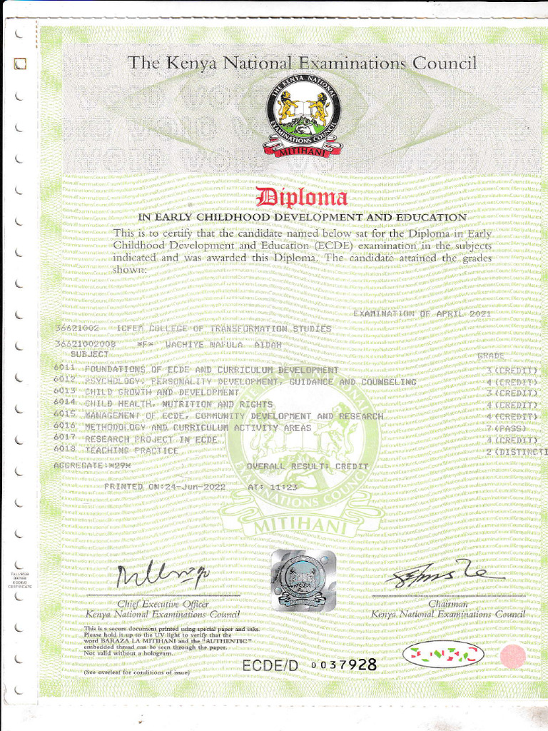 Aida DIPLOMA | PDF