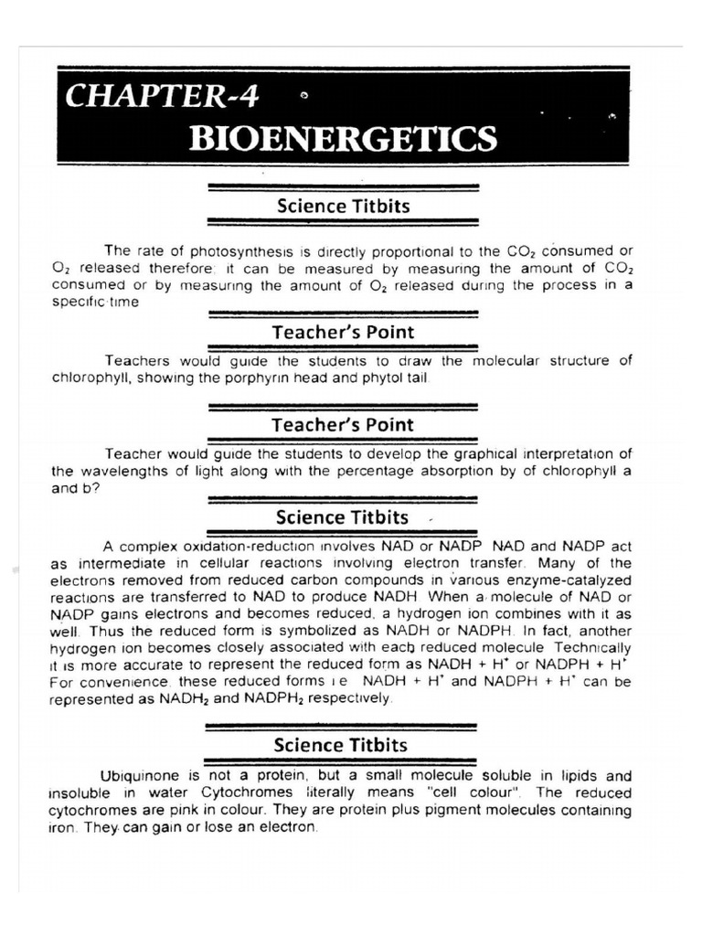 Bioenergetics 1 | PDF
