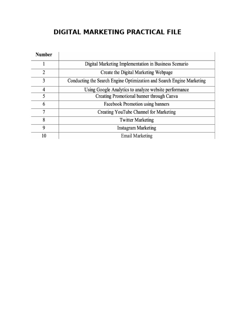 Digital Marketing Practical File | PDF