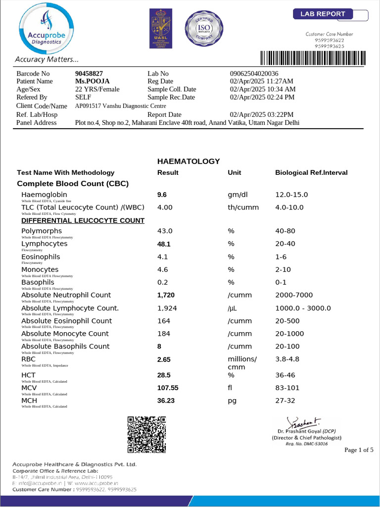 LabReportNew - 2025-04-02T180040.674 | PDF | White Blood Cell | Liver