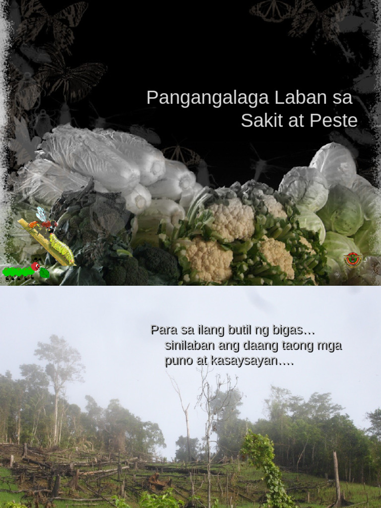 11 Pangangalaga Laban Sa Peste 2009 | PDF