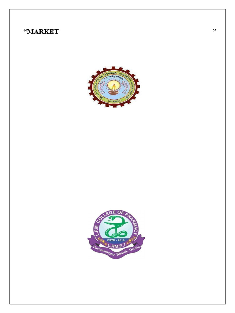 Abhi Ms & MR Final Project - 030955 | PDF | Marketing Research | Market Segmentation