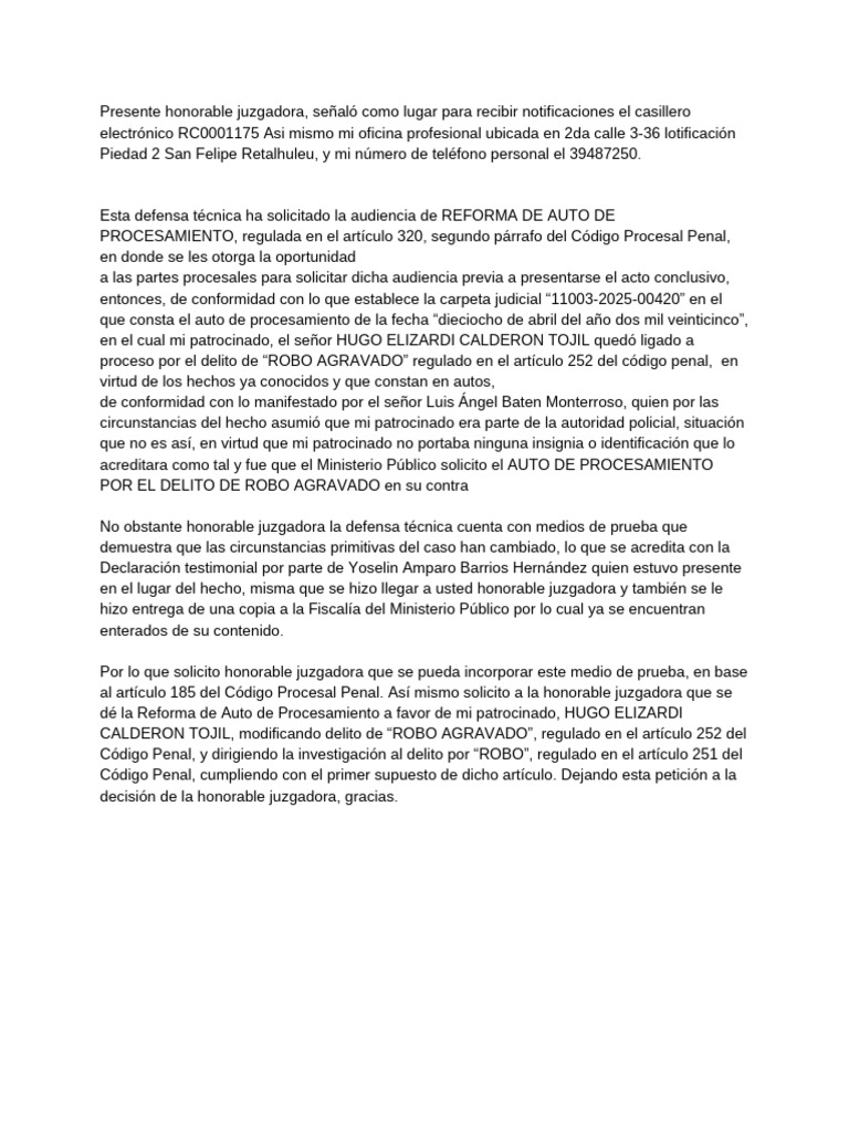 Solicitud de Reforma de Auto de Procesamiento | PDF