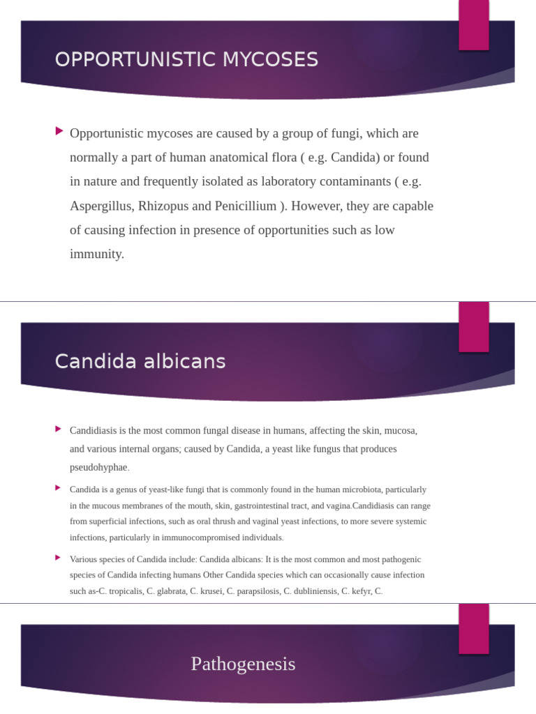 Understanding Opportunistic Mycoses | PDF | Candidiasis | Candida (Fungus)