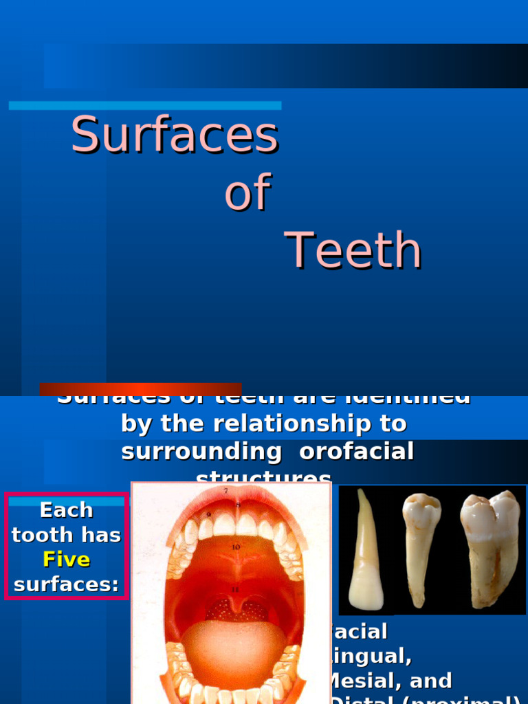 Nomenclature and Tooth Numbering System | PDF | Dentistry | Dentistry ...