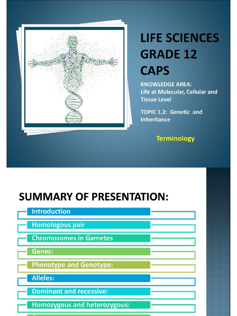 Grade 12 Genetic and Inheritance | PDF