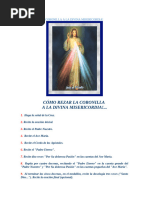 Coronilla de La Divina Misericordia | PDF
