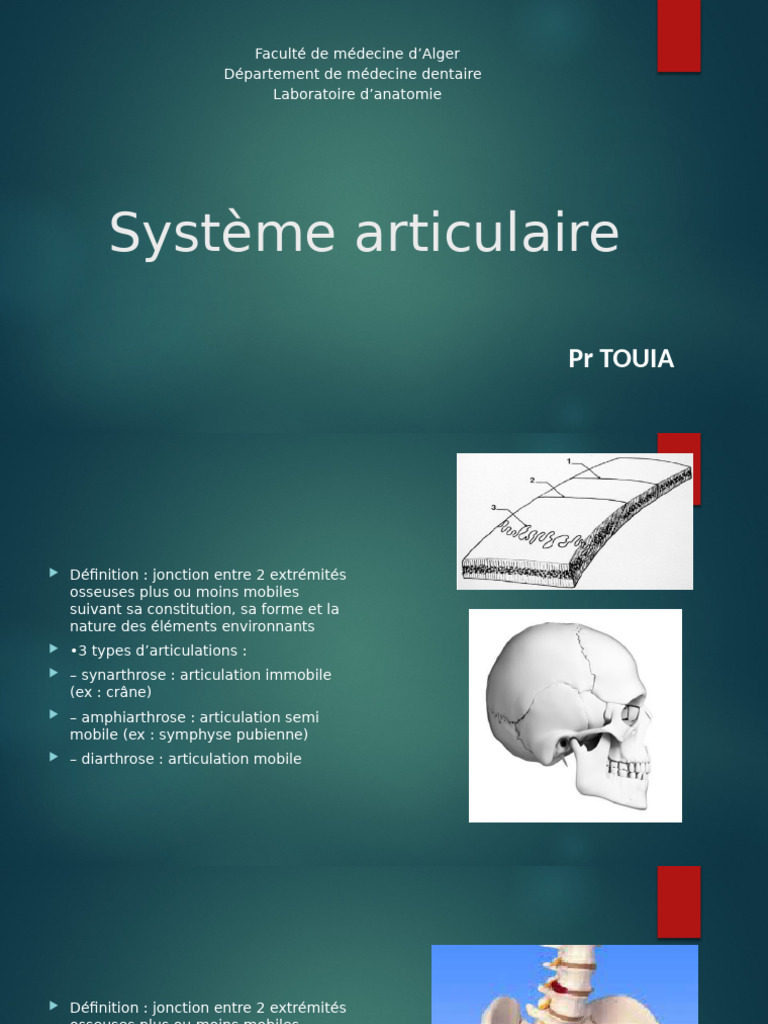 Types et mouvements des articulations | PDF | Articulation (anatomie ...