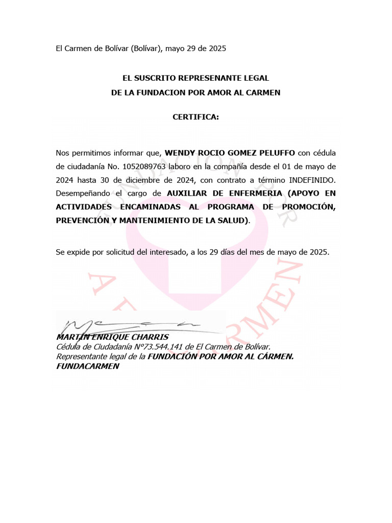 Cer Labo Fundacion X Amor A El Carmen | PDF